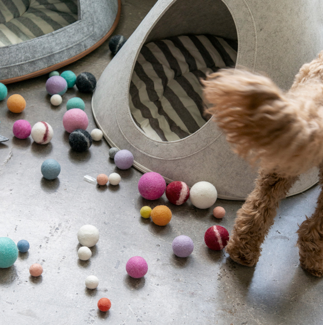 Nooee Pet Bestselling Pet Products – Top-Rated Picks for Comfort & Style